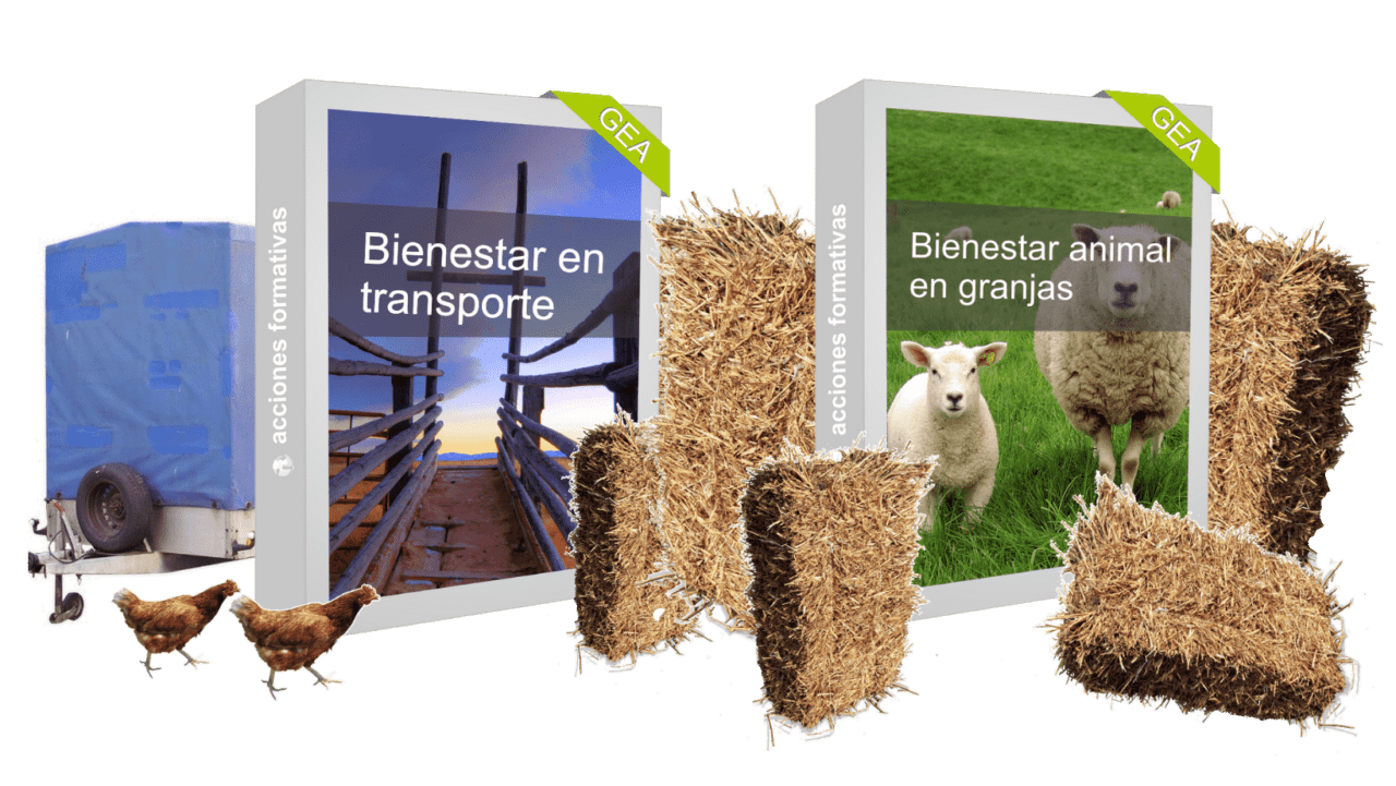 Bienestar animal mixto - GEA Formación